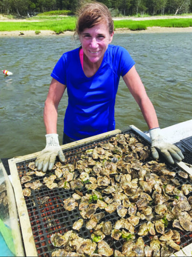 How to Start an Oyster Farm – Mother Earth News
